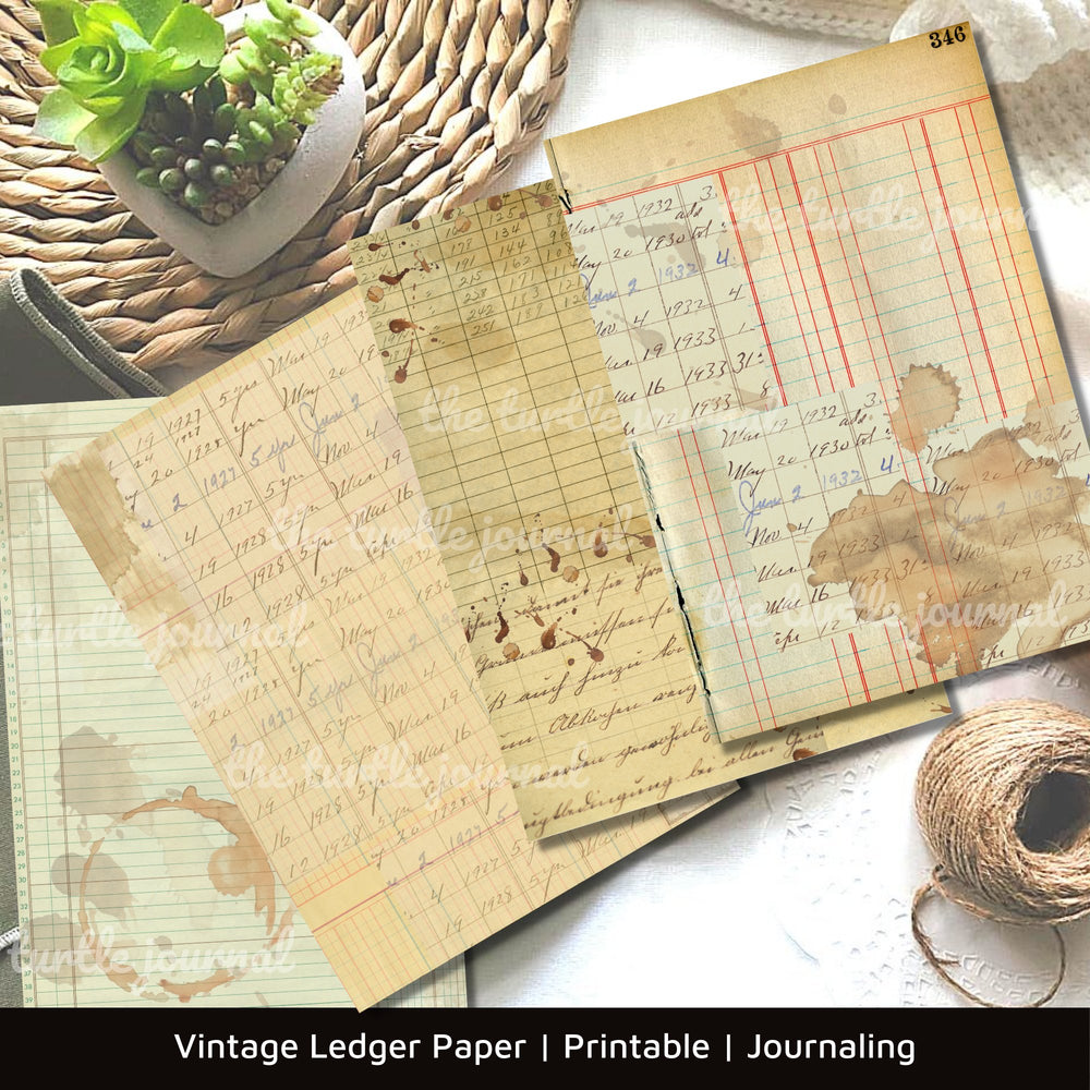 Blog – Page 11 – Rachel The Turtle Journal